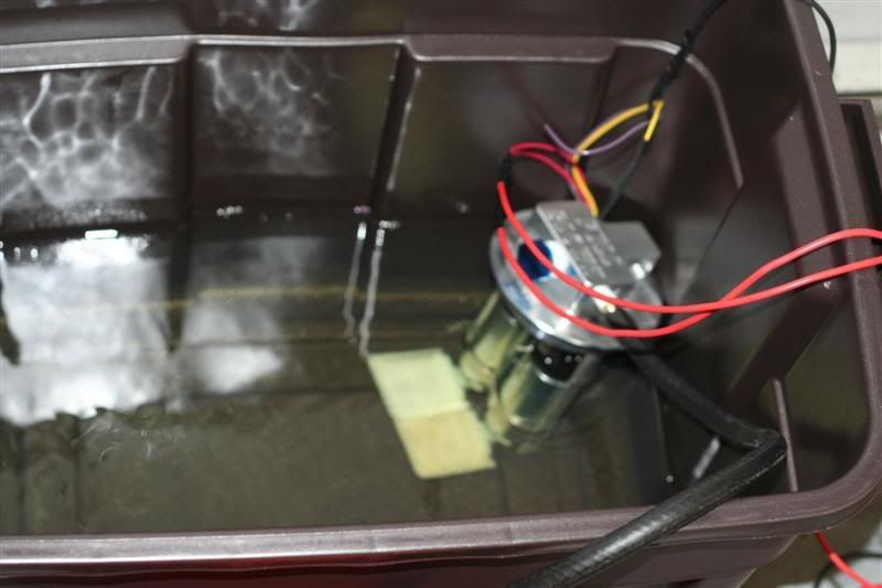 Dual Walbro Flow Tested | Dodge SRT Forum