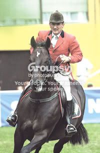 Joe Turi: equestrian — LiveJournal