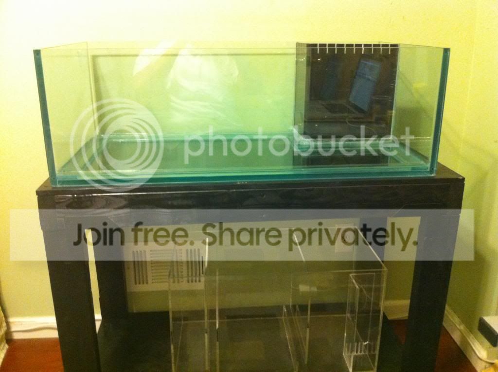 Your opinion on glass cages tanks