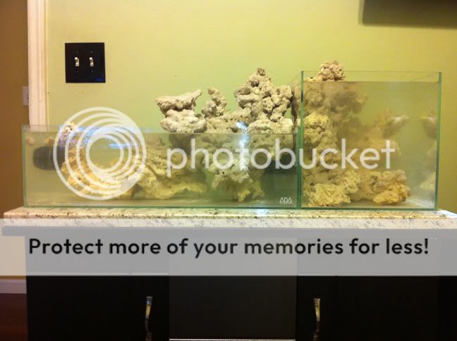 Nano Build - Jonny's NANO ADA Waterfall Tank | Reef2Reef