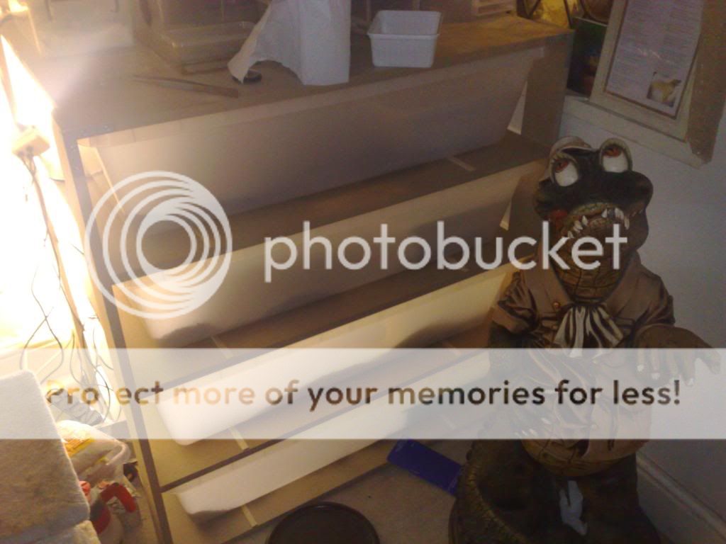 Boa rack help | Reptile Forums